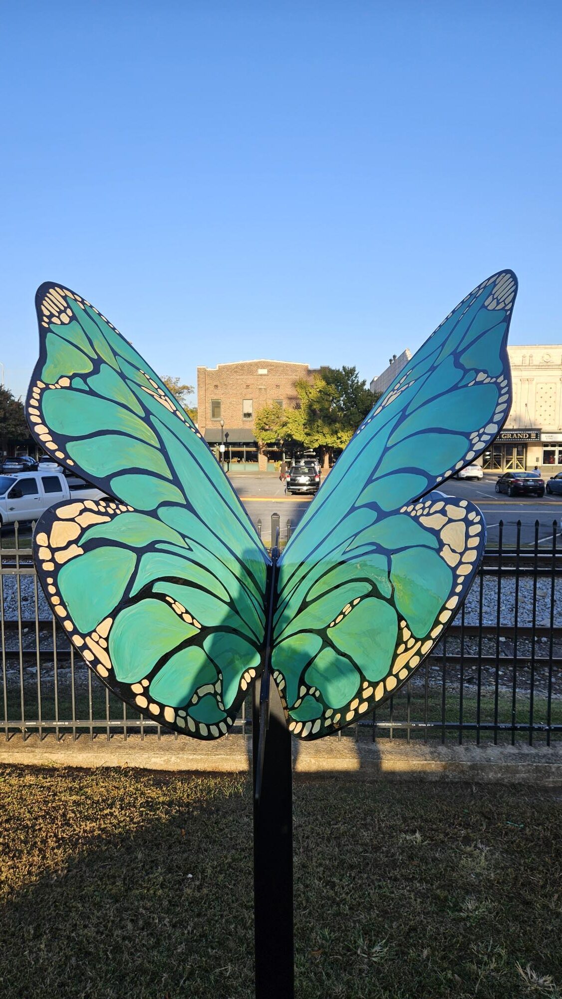 Butterfly Trail: New Beginnings and Warmer Days Ahead